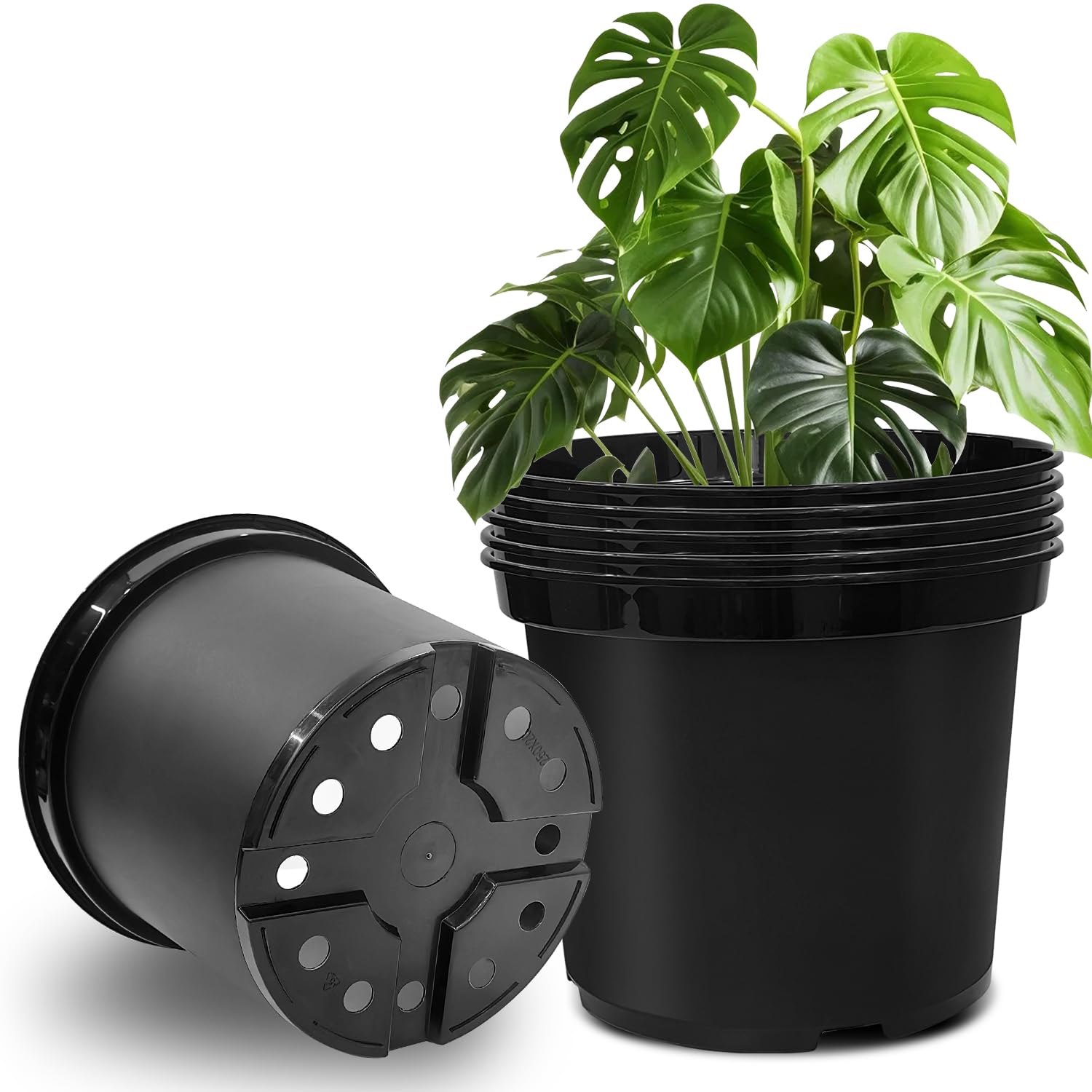 Snapklik.com : BTPLASTIK 5 Gallon Nursery Pots 6-Pack, 12 Inch ...