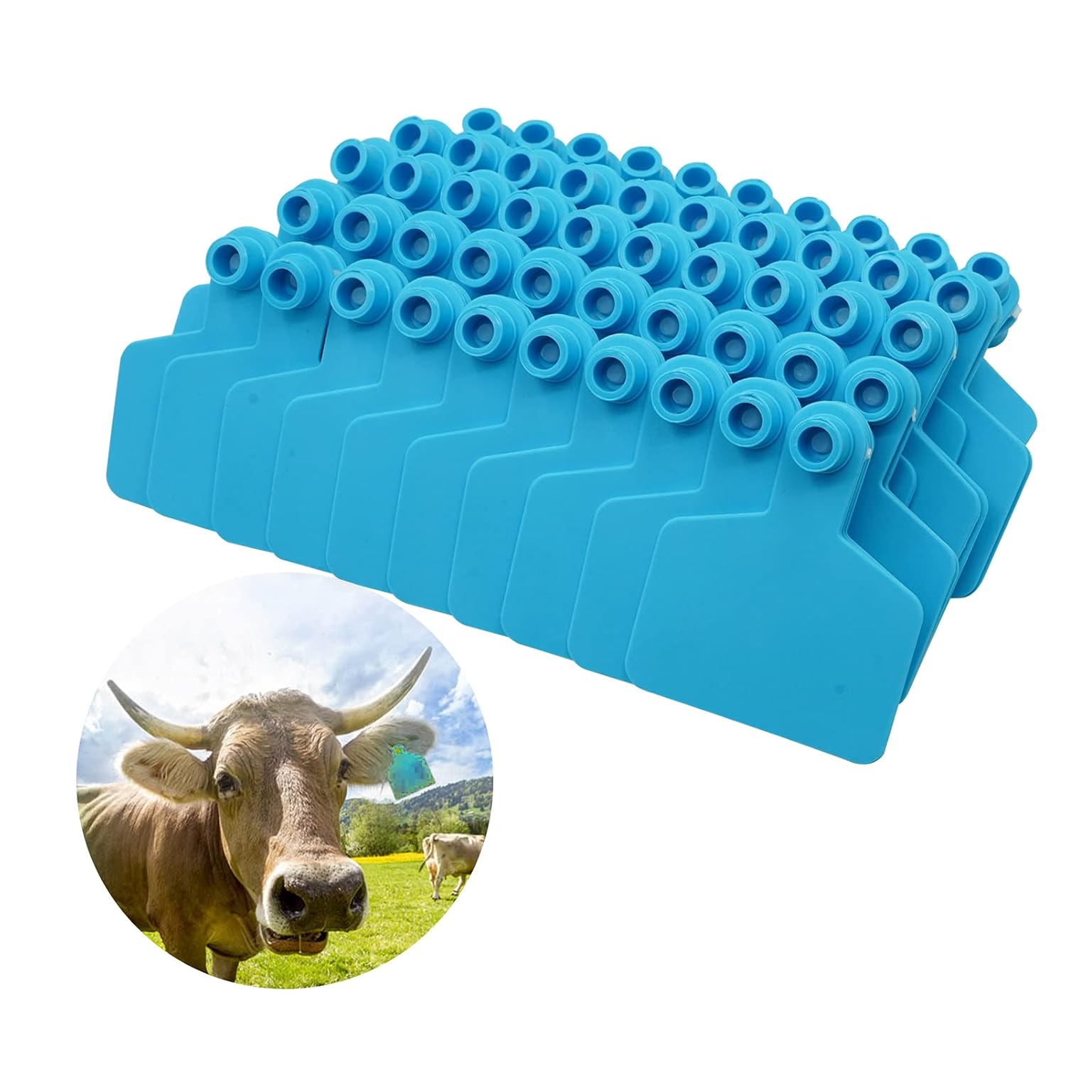 Amazon.com: NOMAL Blank Ear Tags Livestock Ear Tags Cattle Ear Tags for ...