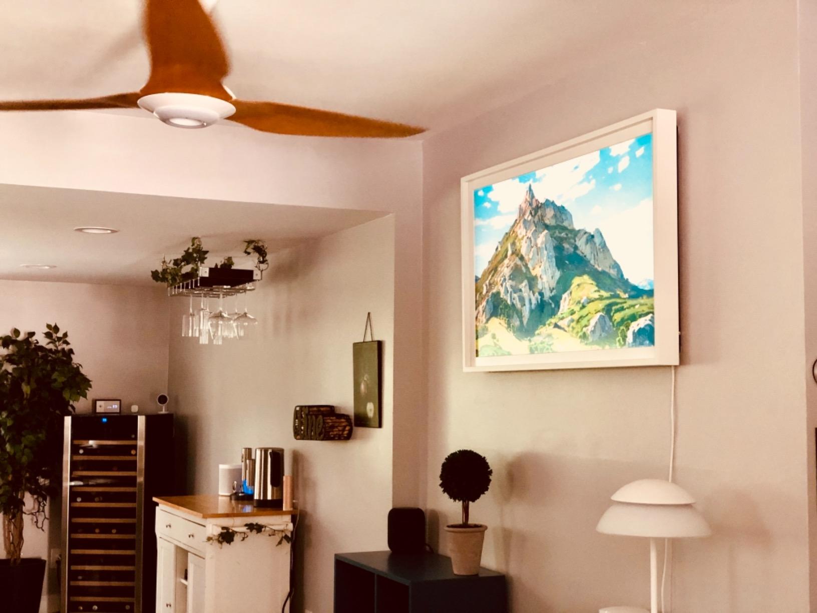 Amazon.com: Depict Frame - 49" 4K Digital Art Frame (Black): Posters ...