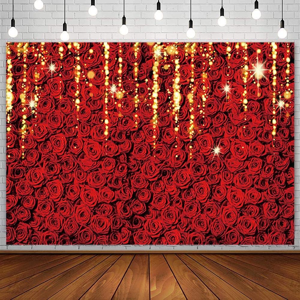 Amazon.com : AIBIIN 7x5ft Valentine's Day Backdrop Red Rose Flowers ...