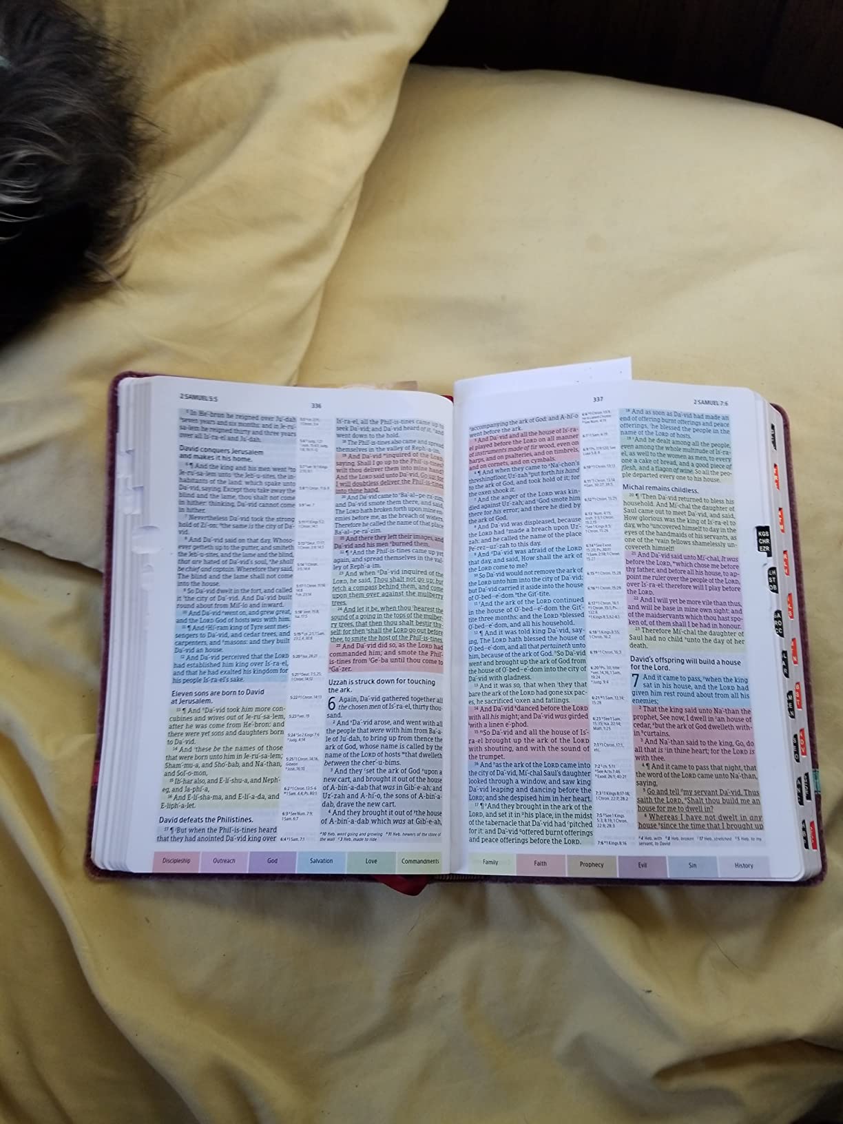 NIV Rainbow Study Bible, Purple LeatherTouch: Holman Bible Publishers ...