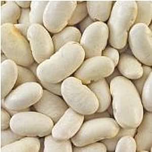 Amazon.com : White Emergo Runner Beans Seeds (25+ Seeds) : Patio, Lawn ...