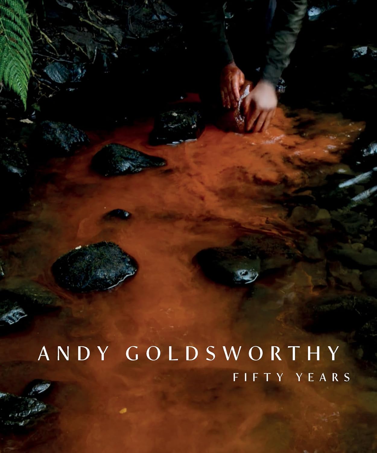 Andy Goldsworthy: Fifty Years: Goldsworthy, Andy, Elliott, Patrick ...