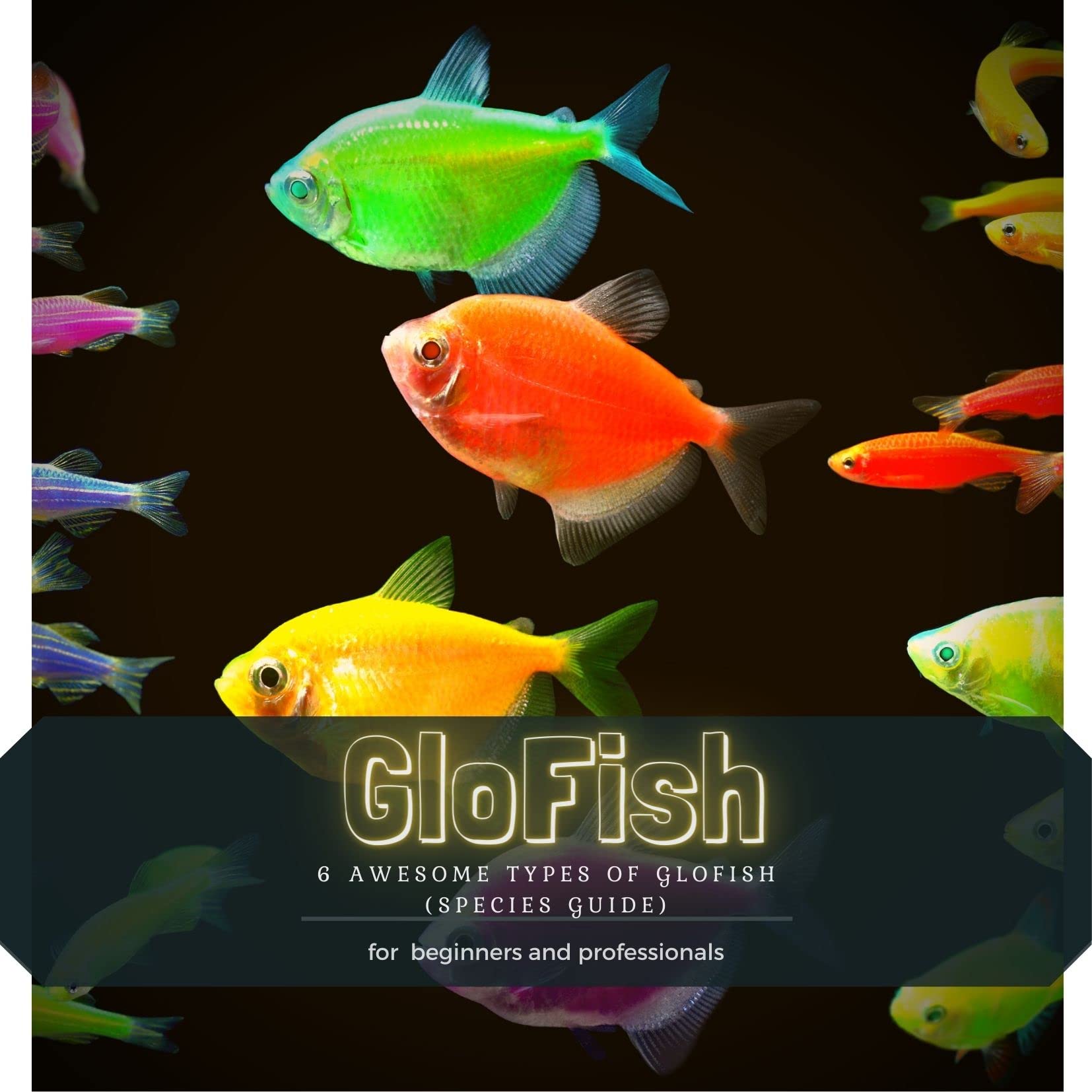 Buy GloFish: 6 Awesome Types of GloFish (Species Guide) Online at ...