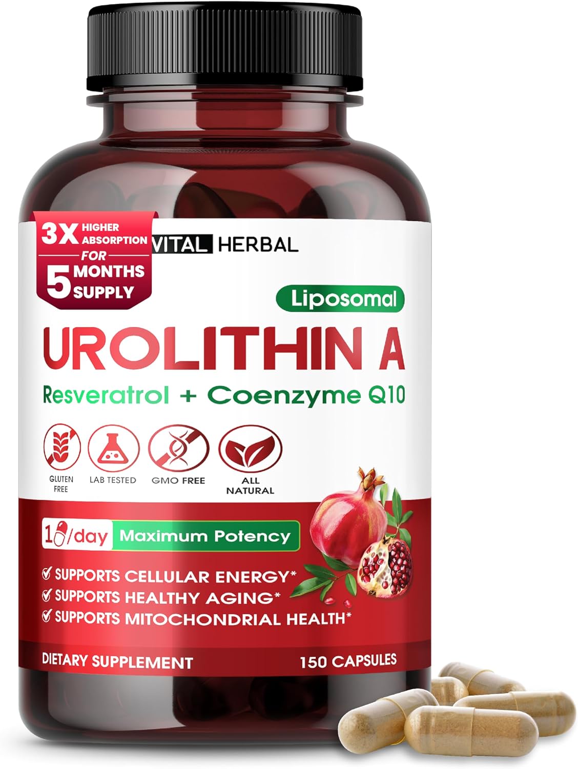 Amazon.com: VITAL HERBAL Urolithin A Supplement with Resveratrol ...