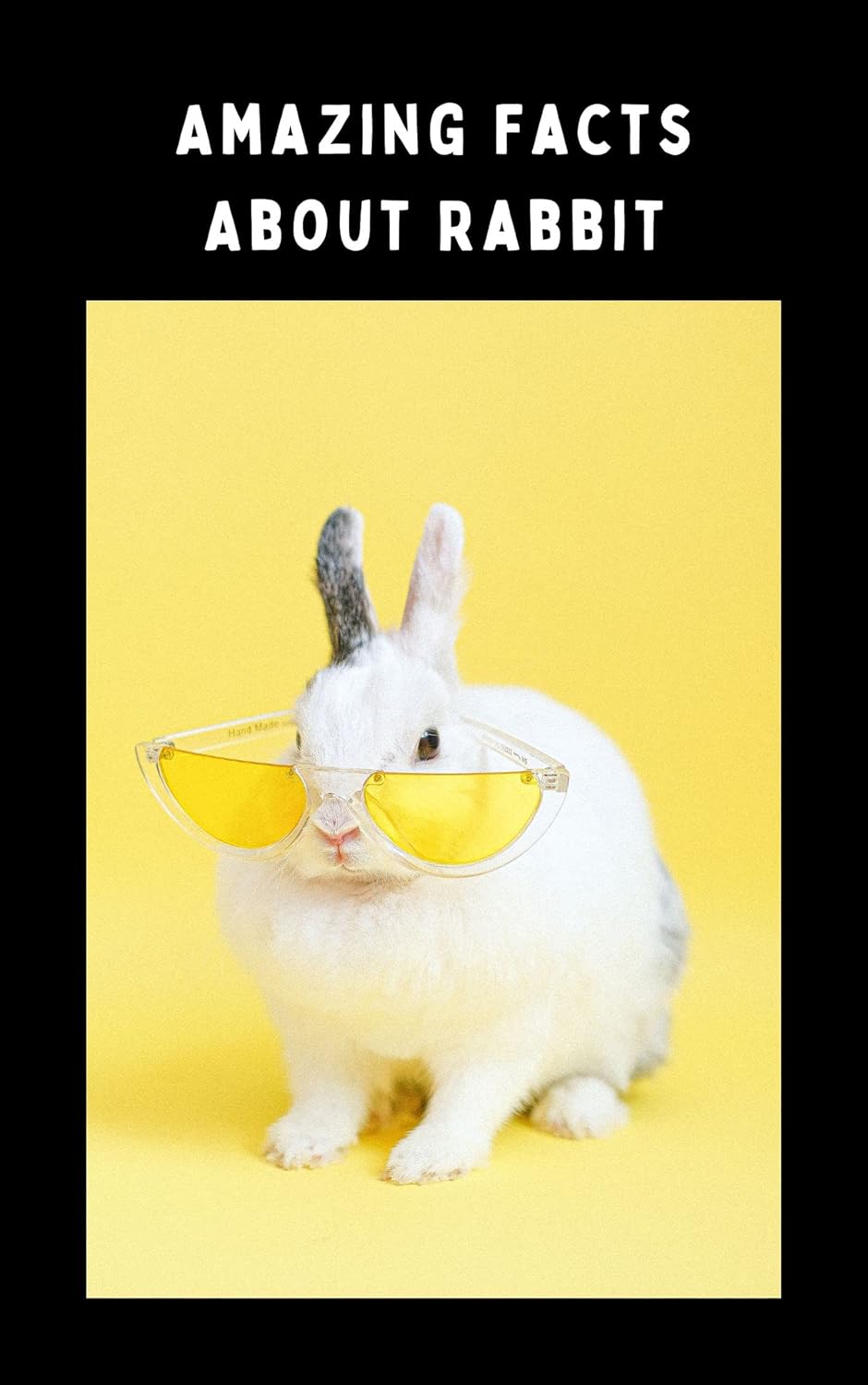 Amazon.com: Amazing Facts About Rabbit: Interesting Facts About Rabbits ...