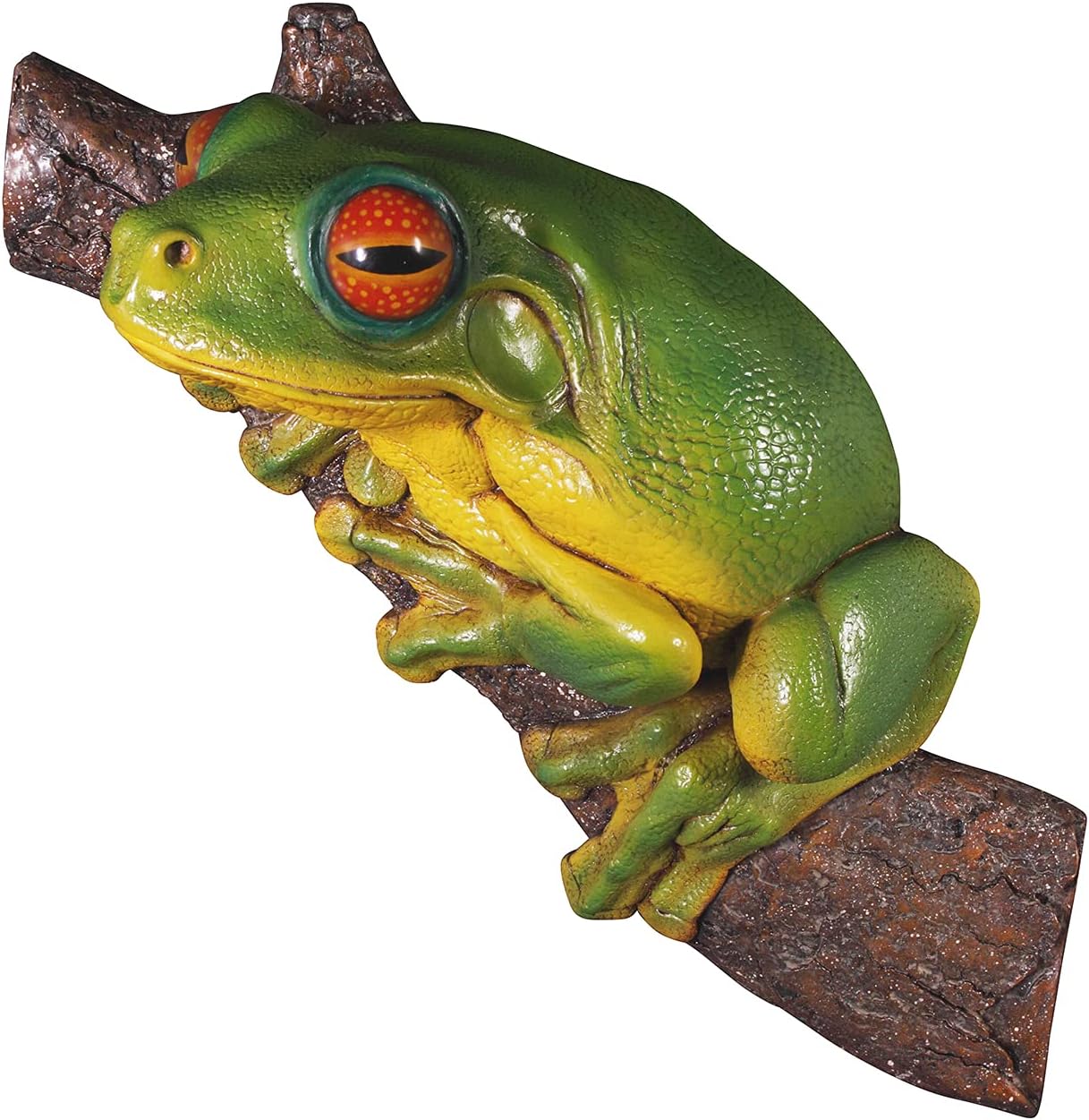 Amazon.com : Design Toscano Red - Eyed Tree Frog Statue : Outdoor ...
