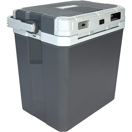 Amazon.com: RoadPro RP5653SF 12-Volt Snackmaster Cooler/Warmer, Medium ...