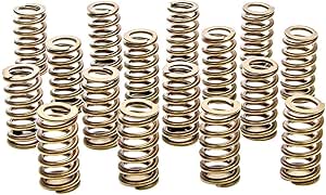 Amazon.com: PAC Racing Springs 1219-16 1200 Series Beehive Valve ...