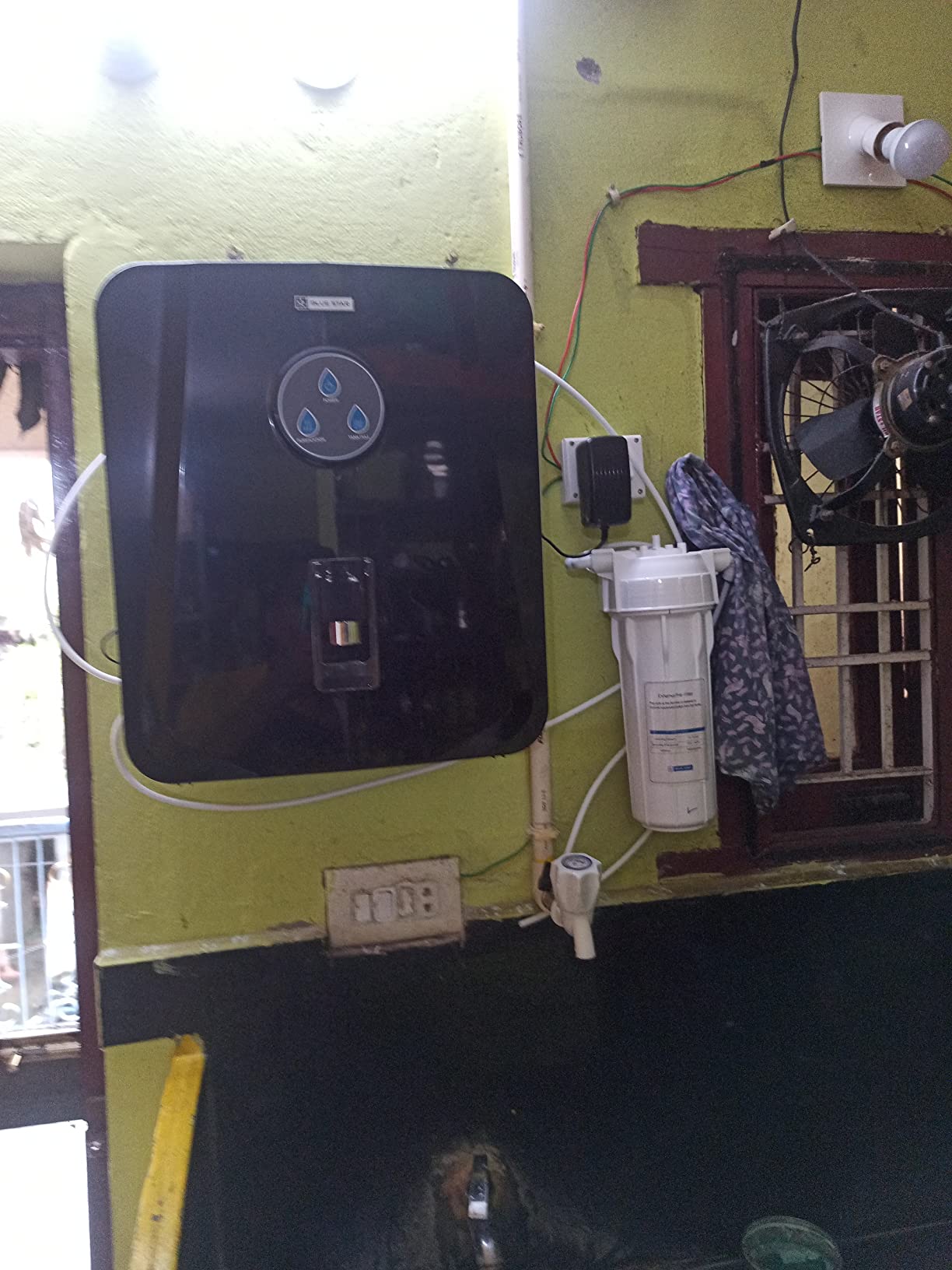 BLUE STAR Ro+Uv with Atb Water Purification Unit 6 L, Blue : Amazon.in ...