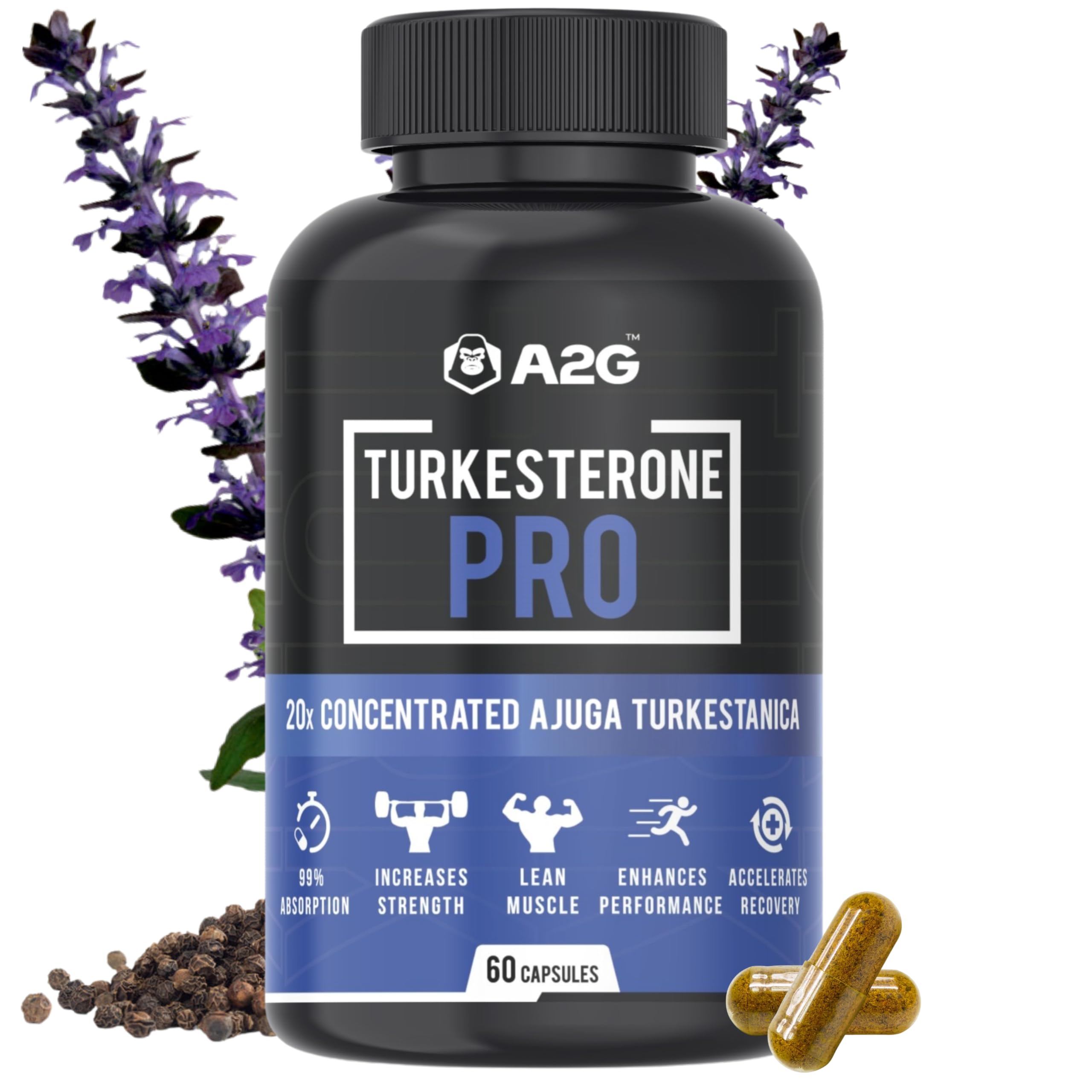 A2g Turkesterone Pro Ajuga Turkestanica Extract For Muscle Growth ...