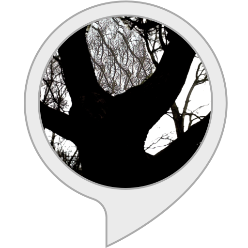 Amazon.com: Forest Adventure : Alexa Skills