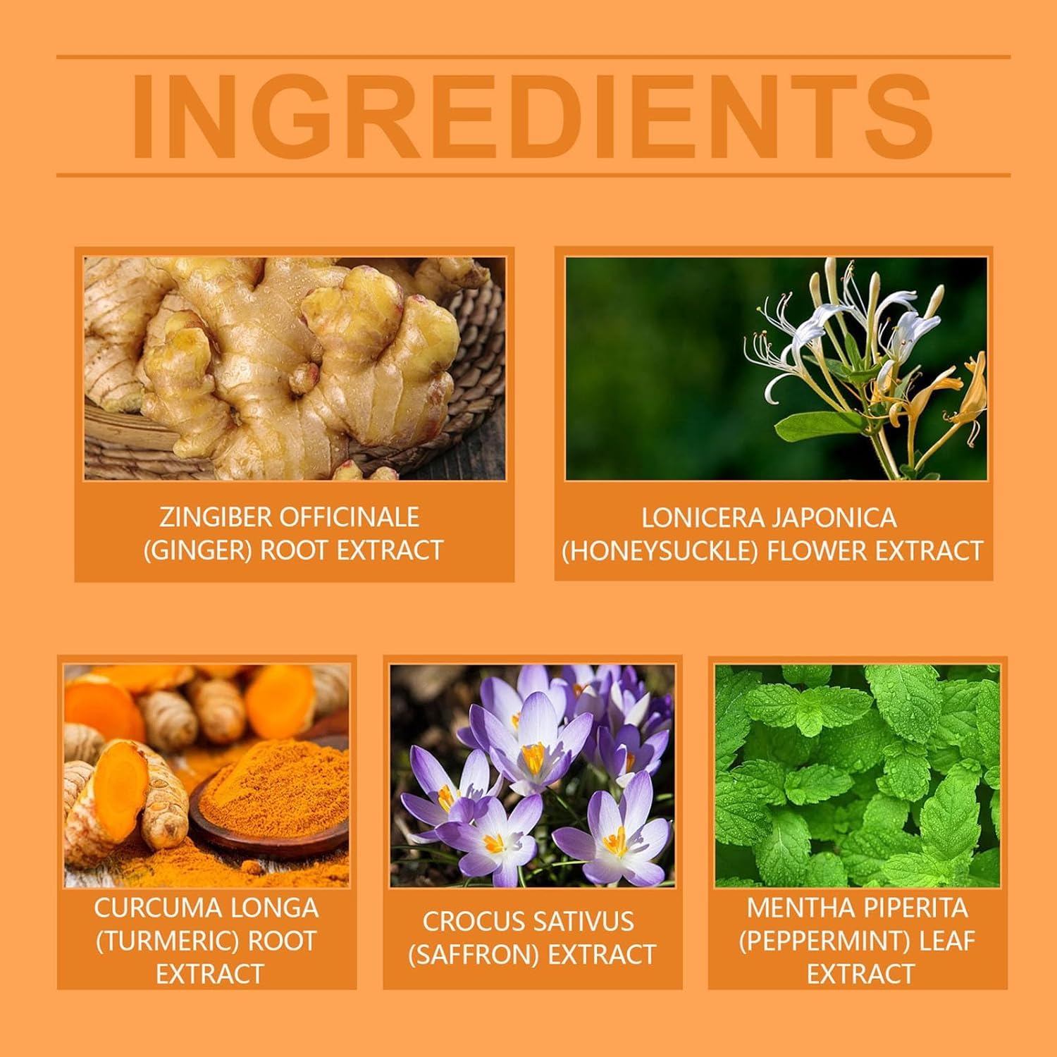 Furzero Turmeric Varicose Vein Plasters – BigaMart