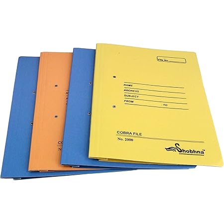 Flat File (Set of 12 Pcs) : Amazon.in: Office Products