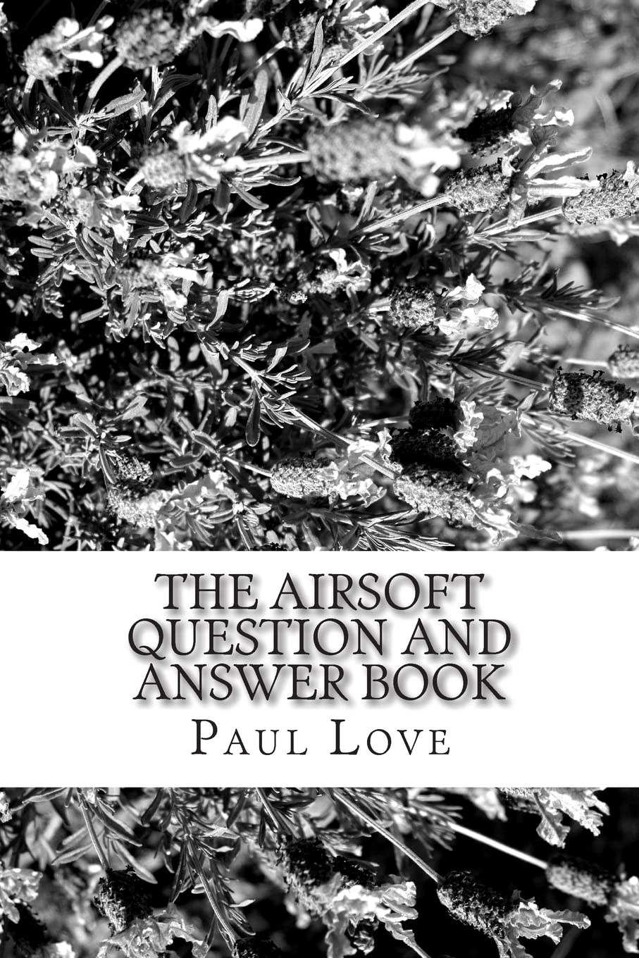 The Airsoft Question and Answer Book: Love, Paul: 9781453627082: Amazon ...