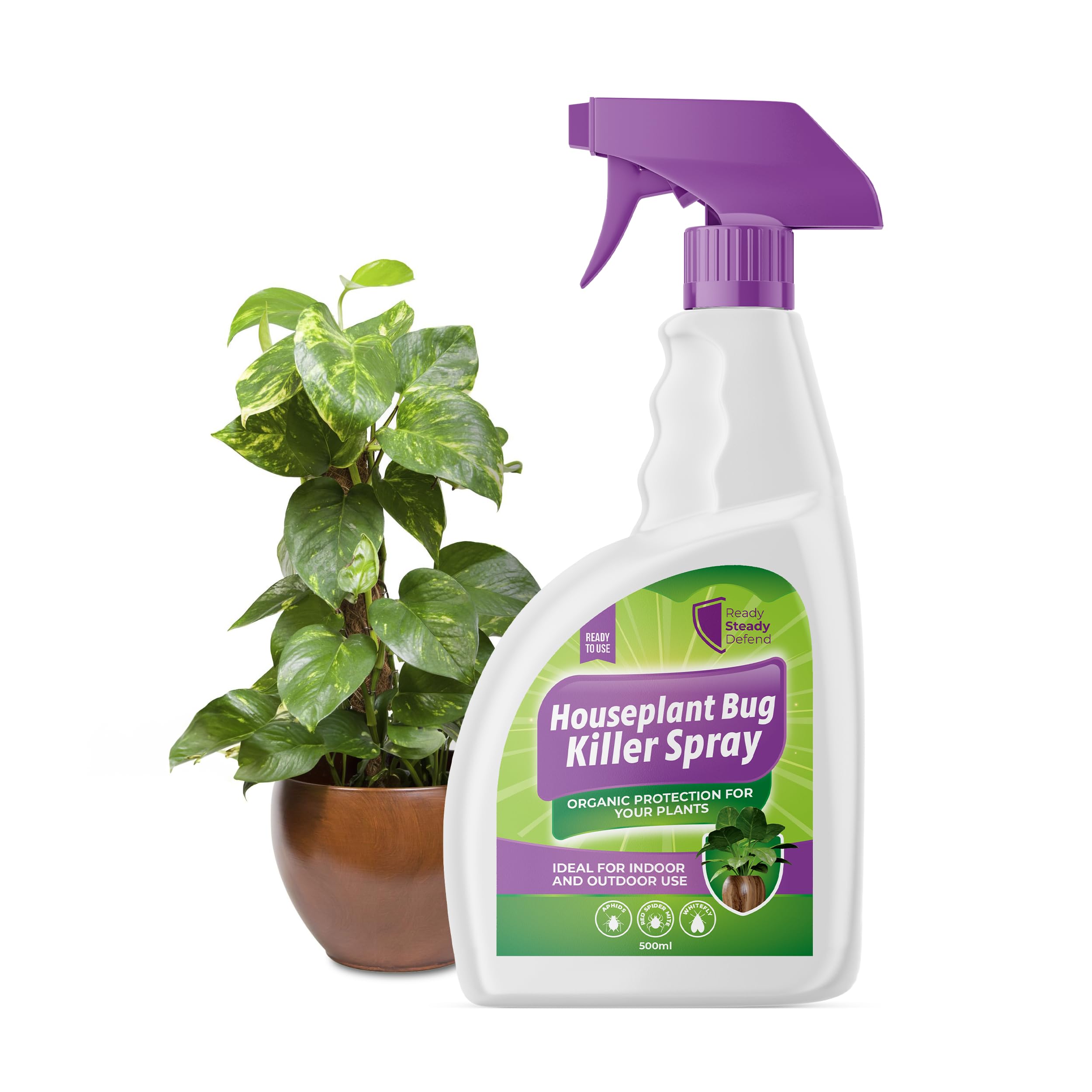 House Plant Bug Killer Spray 500ml – Natural Insecticide for Indoor ...