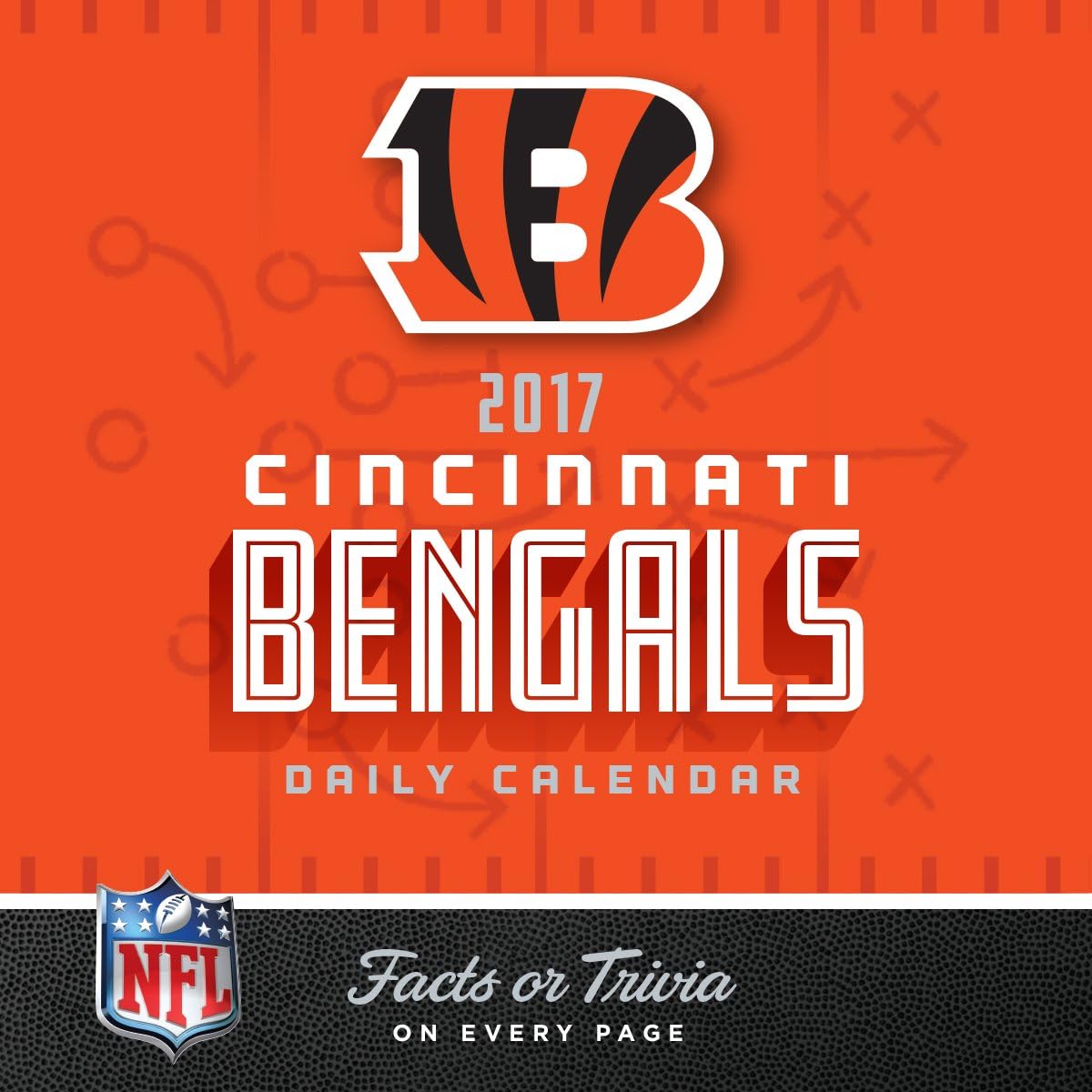 Amazon.com : Turner Licensing Sport 2017 Cincinnati Bengals Box ...