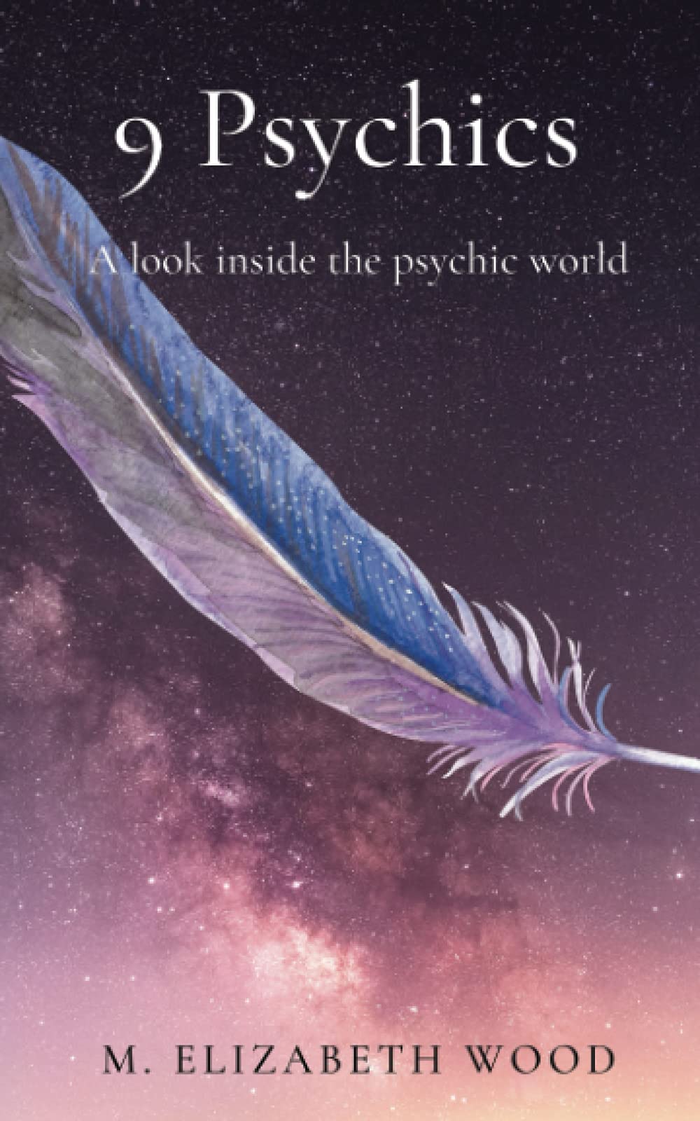 9 Psychics: A look inside the psychic world: Wood, M Elizabeth ...