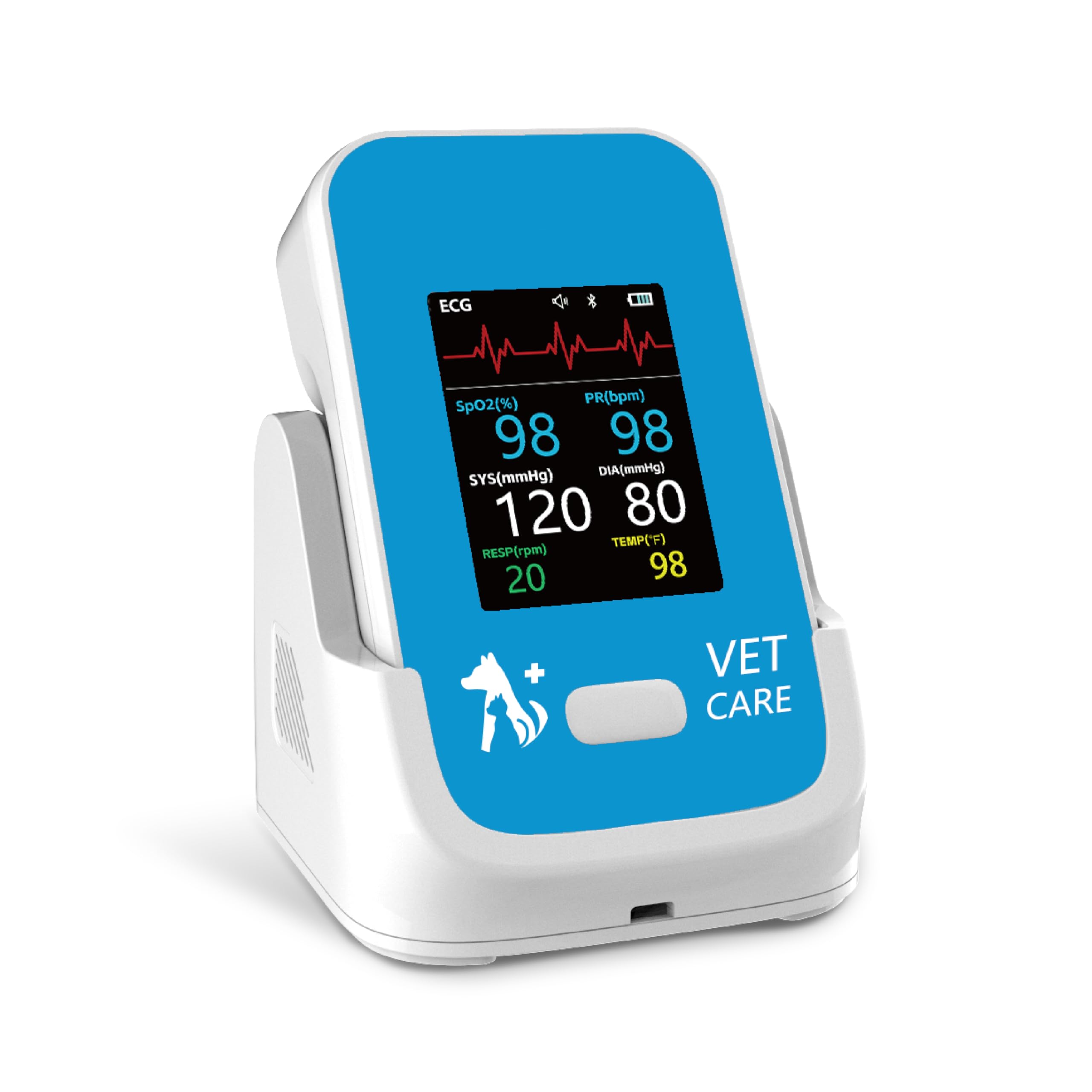 9 Best Equine Heart Rate Monitor | Stop Guessing Your Horse's HR