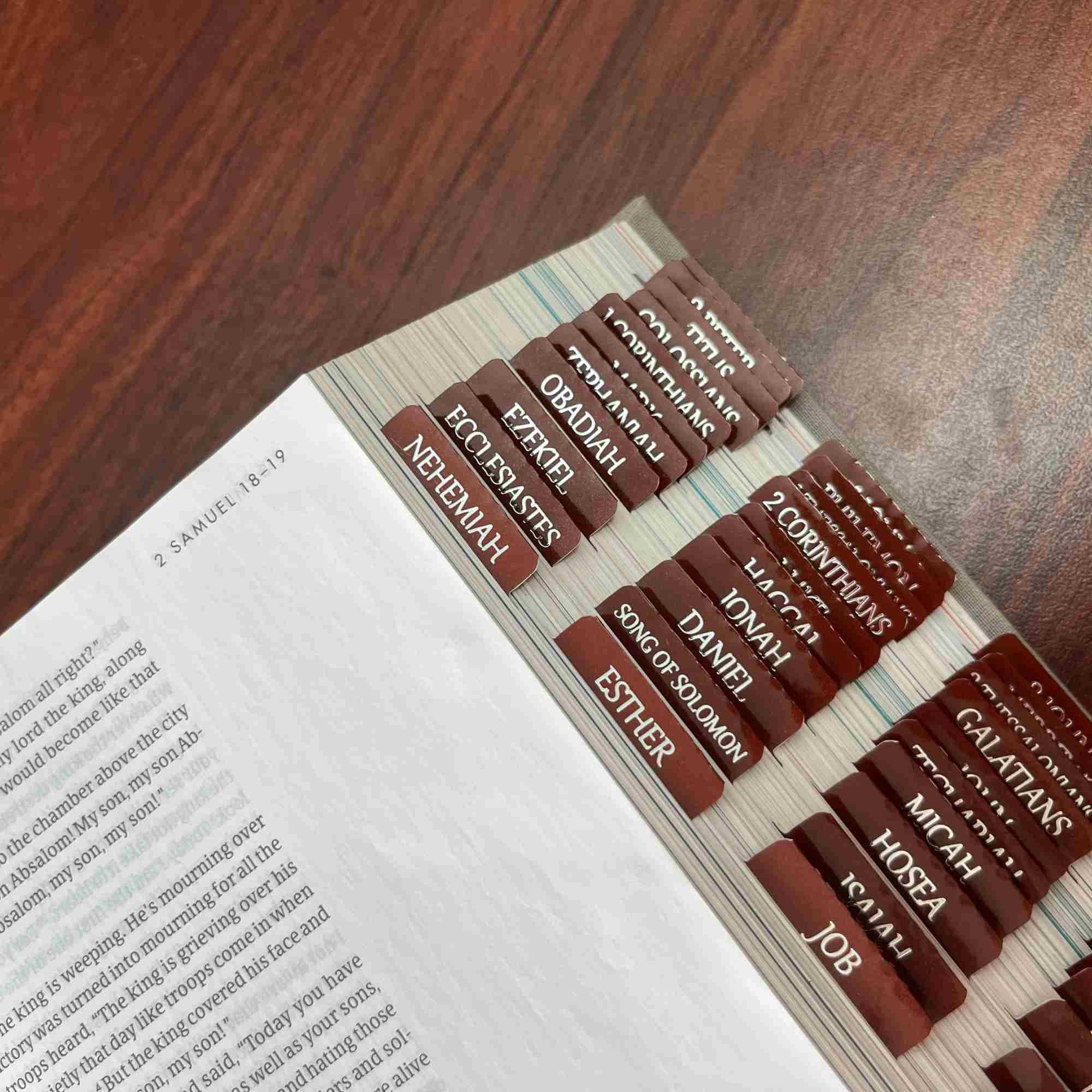 Snapklik.com : Thinkor Reposition Laminated Bible Tabs, Large Print ...