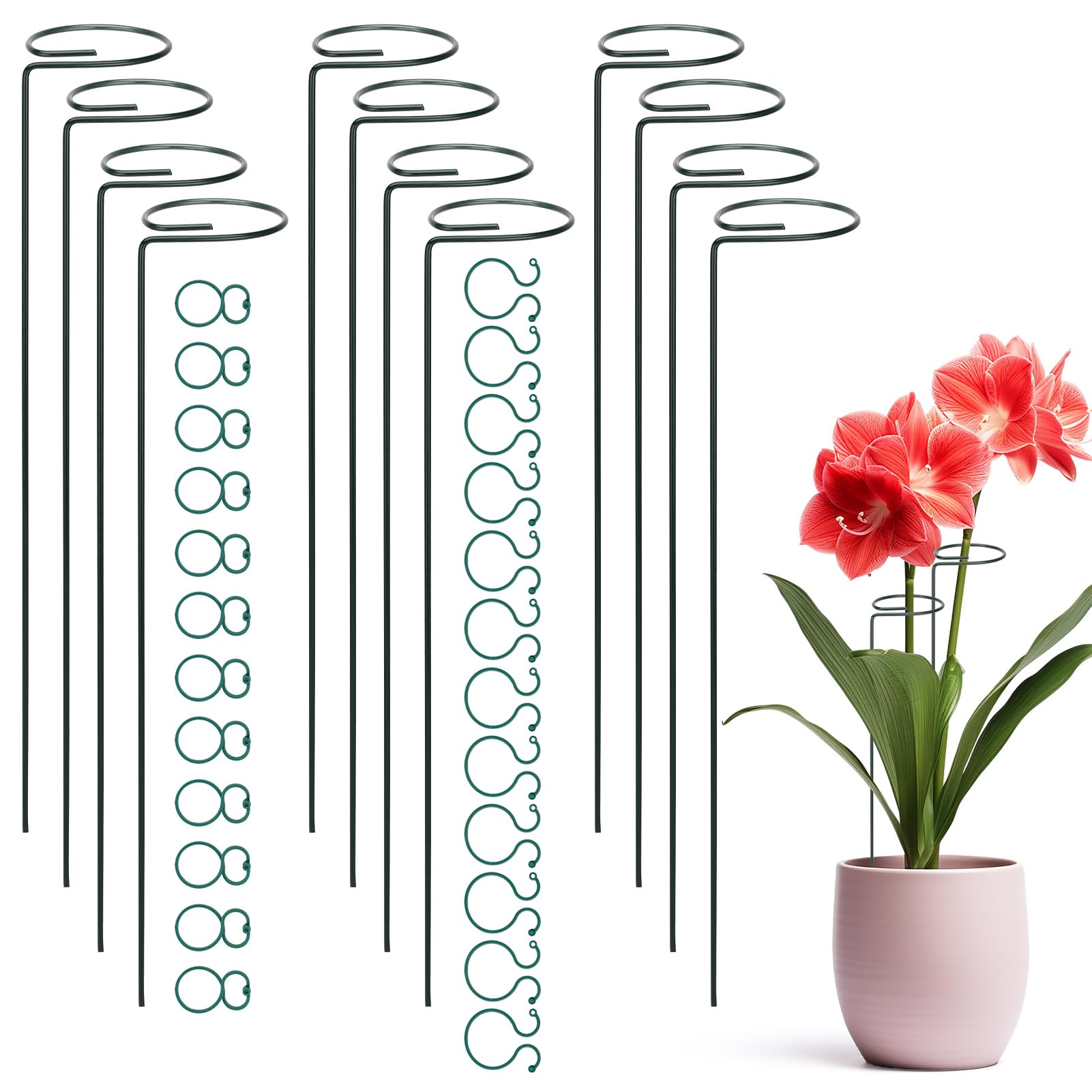 Zuimei 12 Pack Plant Supports for Outdoor Plants Flower Growing Stakes ...