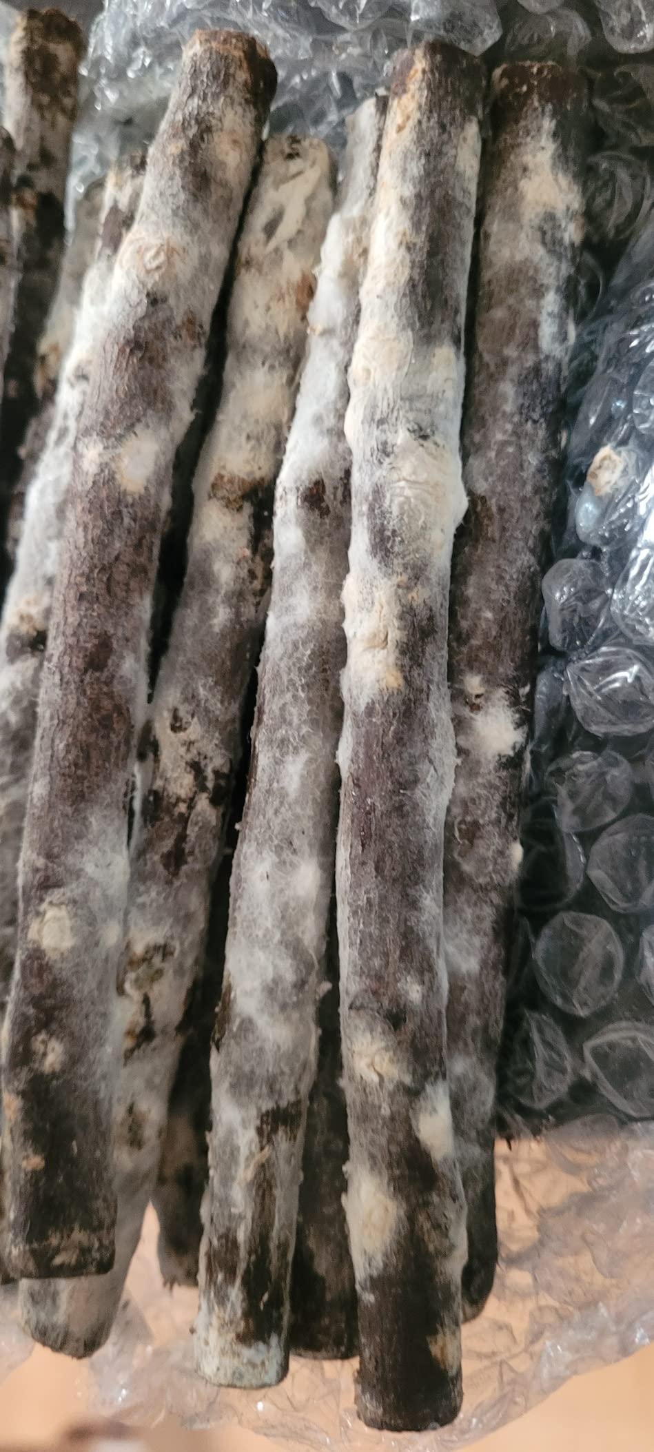 Amazon.com: Neem Datun 15 Chewing Sticks Of Neem Datun Oral Herbal ...