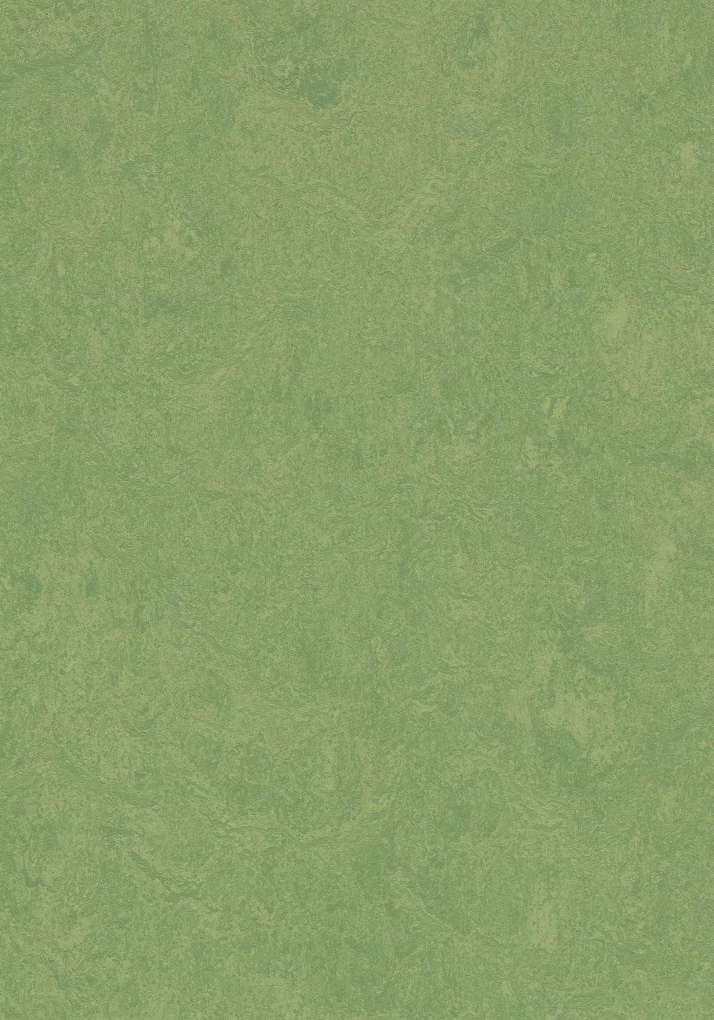 Forbo Marmoleum Click Cinch LOC Seal Waterproof Seal 933260 Leaf 12" x ...