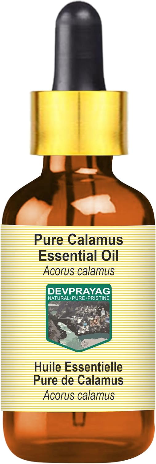 Amazon.com: Devprayag Calamus Essential Oil (Acorus Calamus) with Glass ...