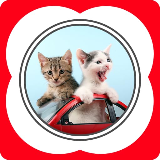 VVW Media's Amazon Page