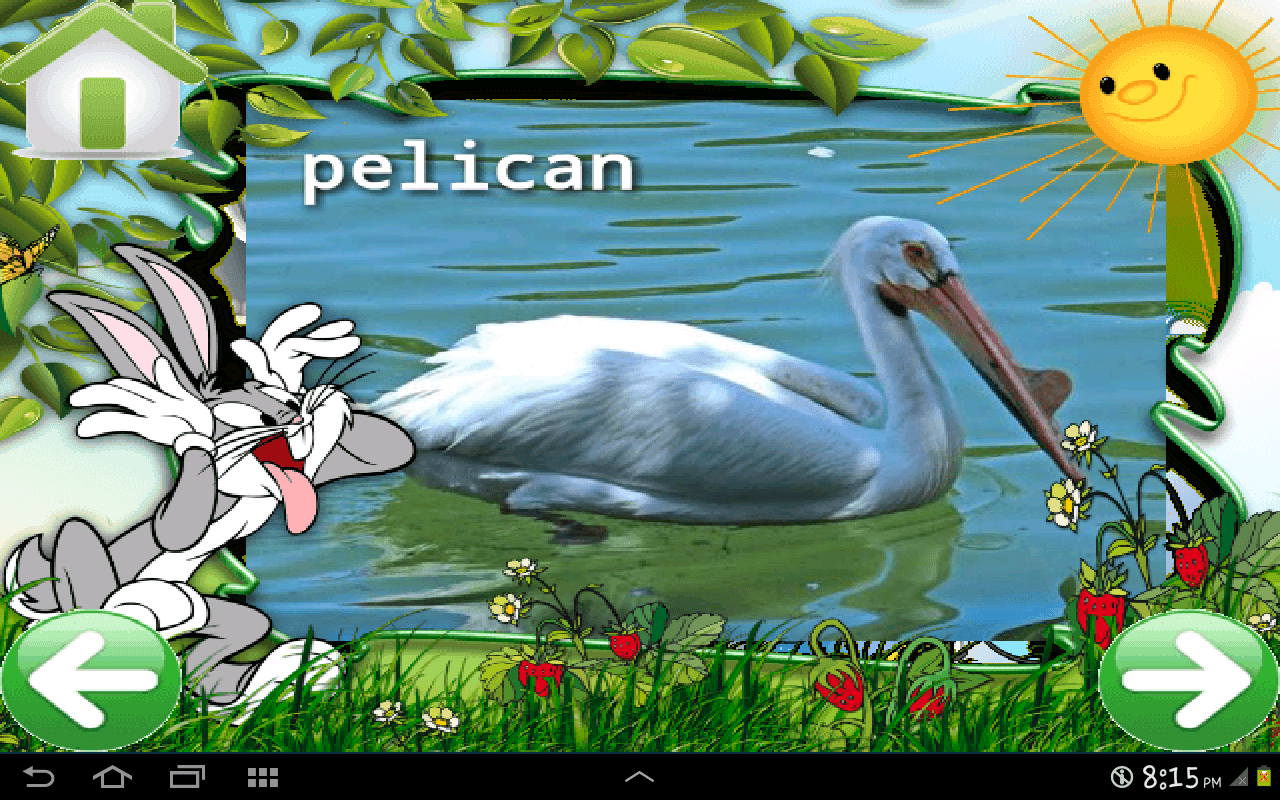 Kids Zoo Animals Sounds - App on Amazon Appstore