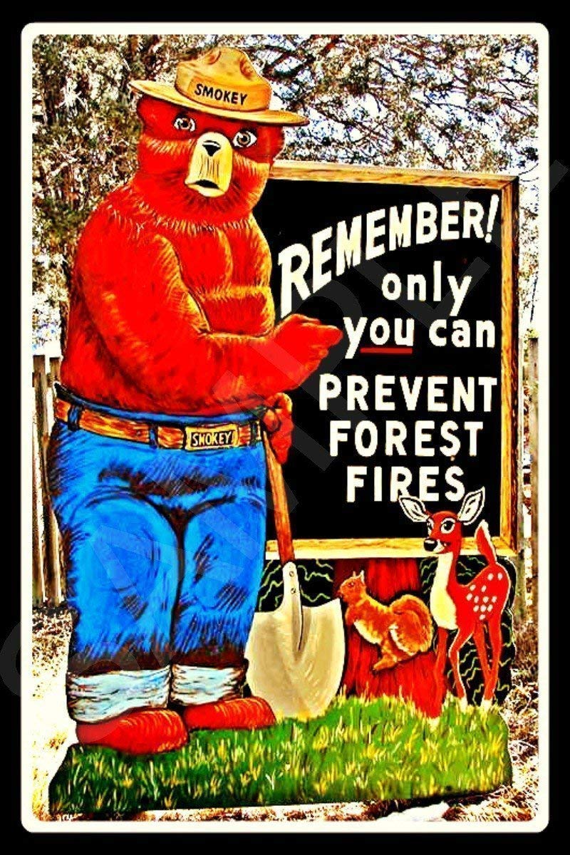 Amazon.com: Smokey Bear Sign 8"x12" Made In USA All Weather Metal ...