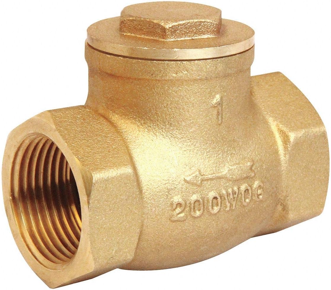 Amazon.com: Swing Check Valve, Brass, 1/2 In., NPT : Industrial ...