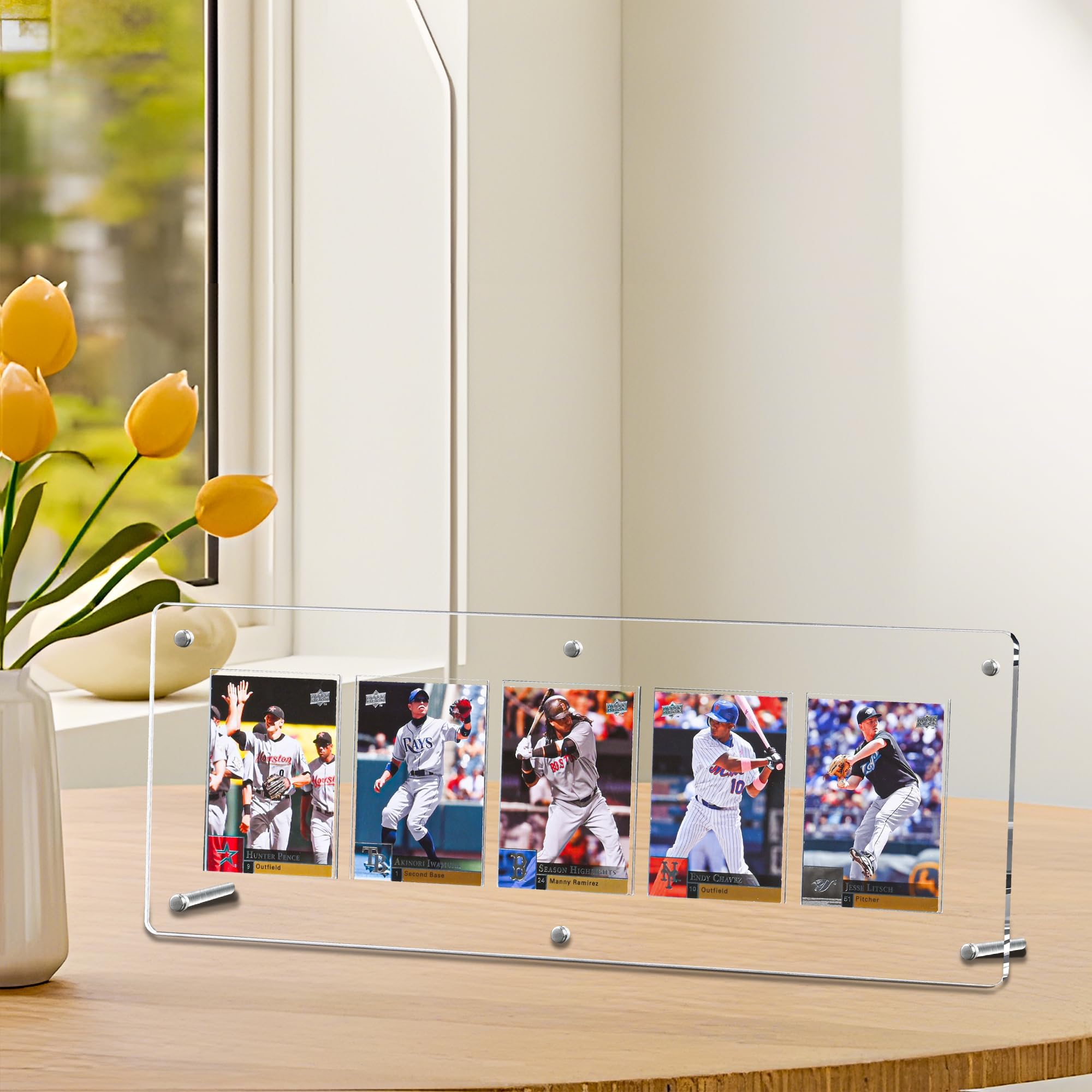 Amazon.com: Trading Card Display Frame for 6 Cards- Black (White Trim ...