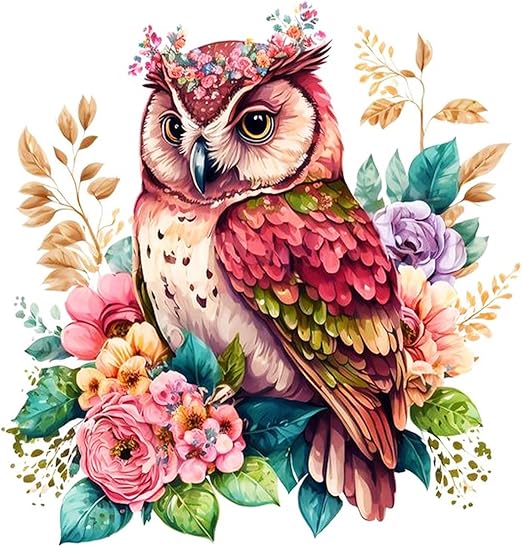 Amazon.com: Owl Diamond Art Kits for Adults, Round Full Drill Diamond ...