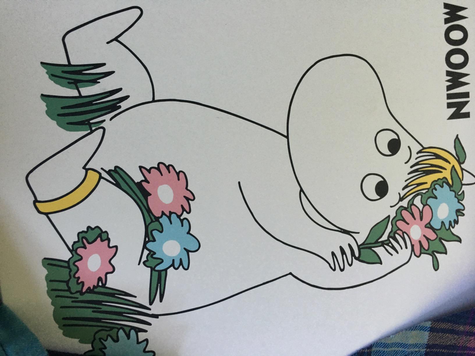 Amazon.com: Moomin Storage Box: 9781454924579: Moomin: Books