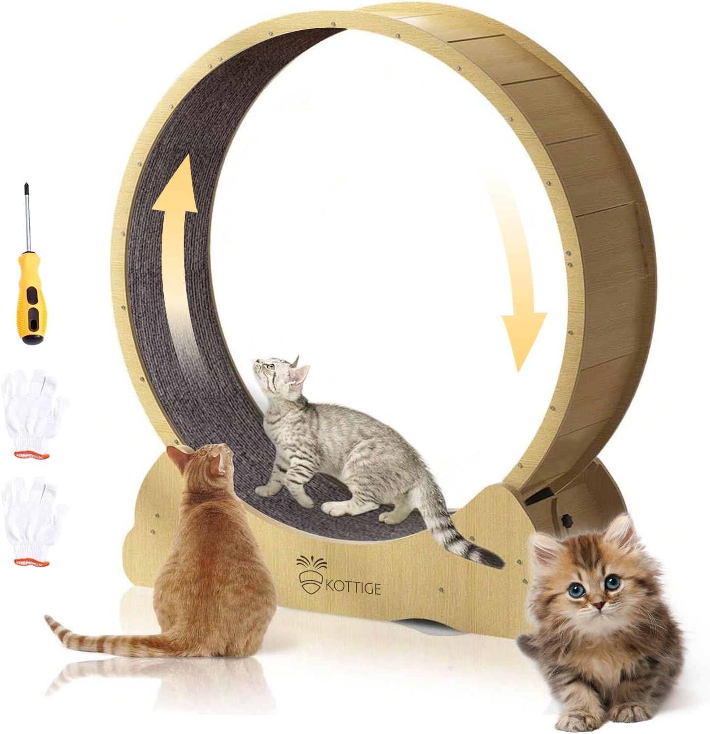 Amazon.com: Large Cat Exercise Wheels for Indoor Cats - 45 inch Large ...