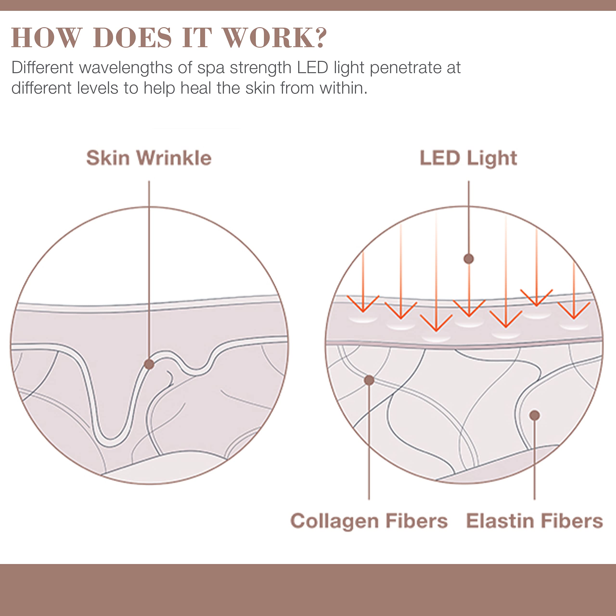 Buy Trophy Skin RejuvaliteMD Red Light Therapy - High-Power Ageless LED ...