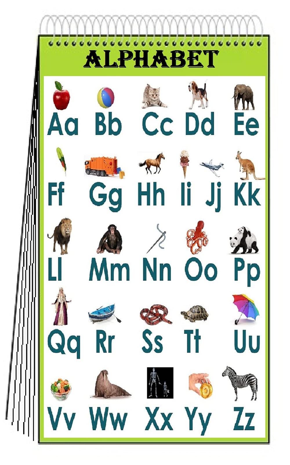 Buy Educational Picture Charts for kids in English ( 16 Charts - 37 x ...