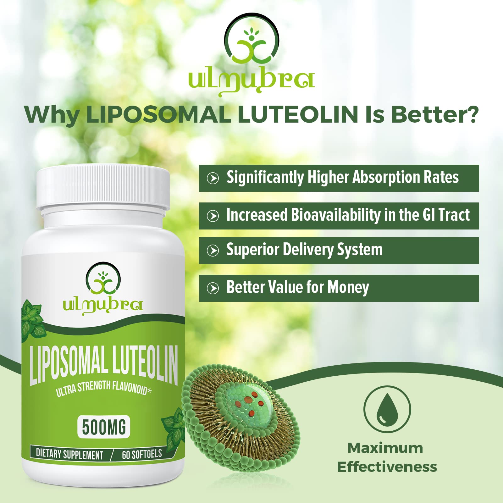 Snapklik.com : Liposomal Luteolin 500MG, Maximum Absorption, Potent ...