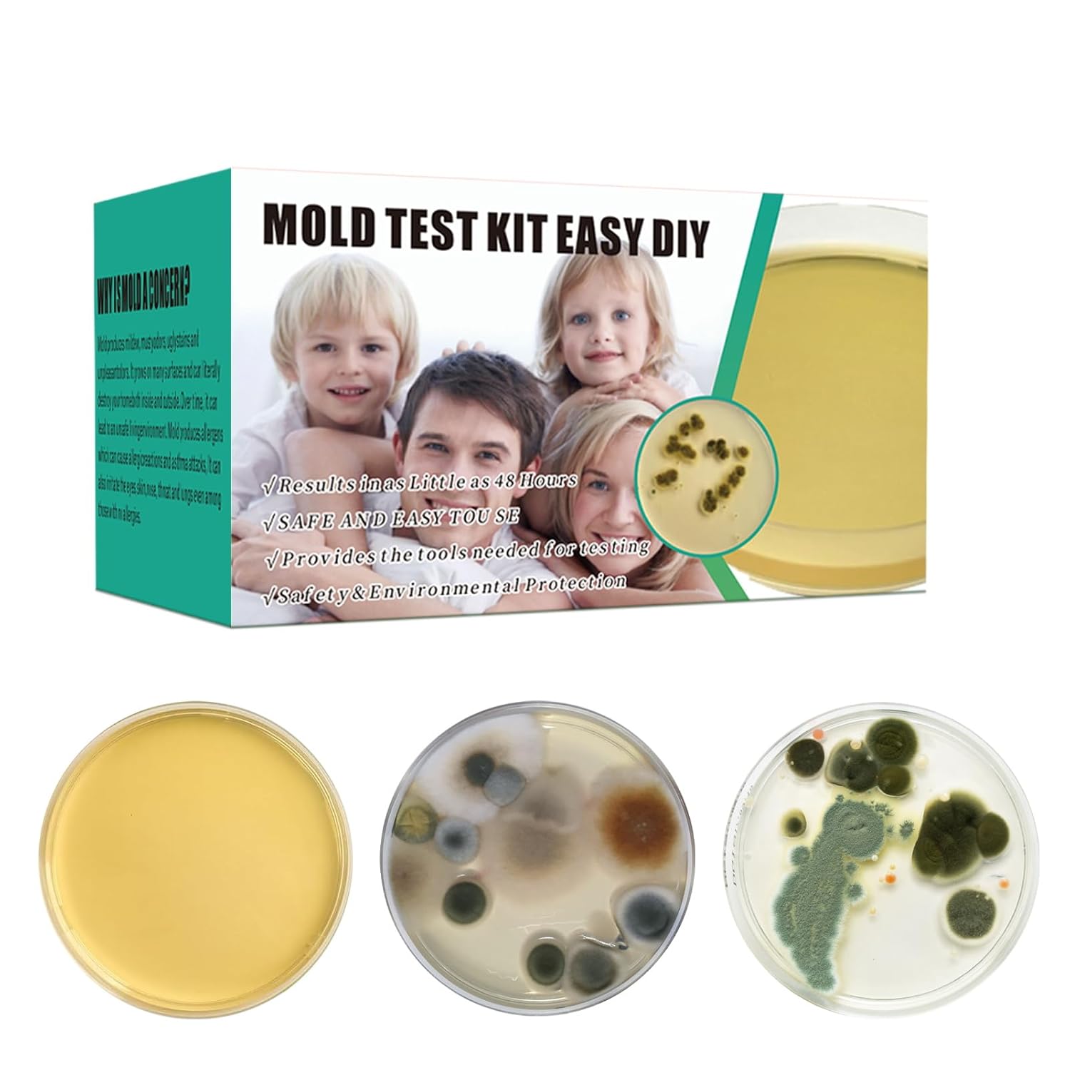 Mold Testing Kit: Safeguard Your Home's Health with Precision: Amazon ...