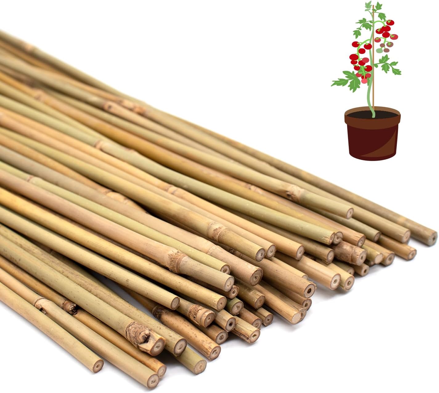 Amazon.com : Hydrofarm HGBB3 3' Natural, pack of 25 Bamboo Stake, Tan ...