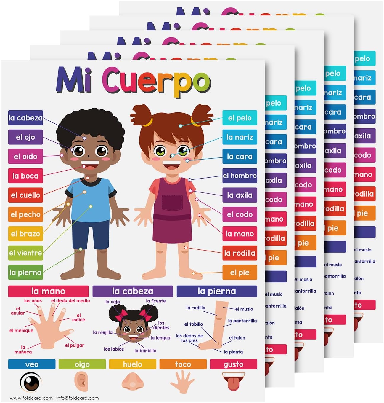 Amazon.com: Mi Cuerpo Spanish Educational Posters for Kids – The Human ...