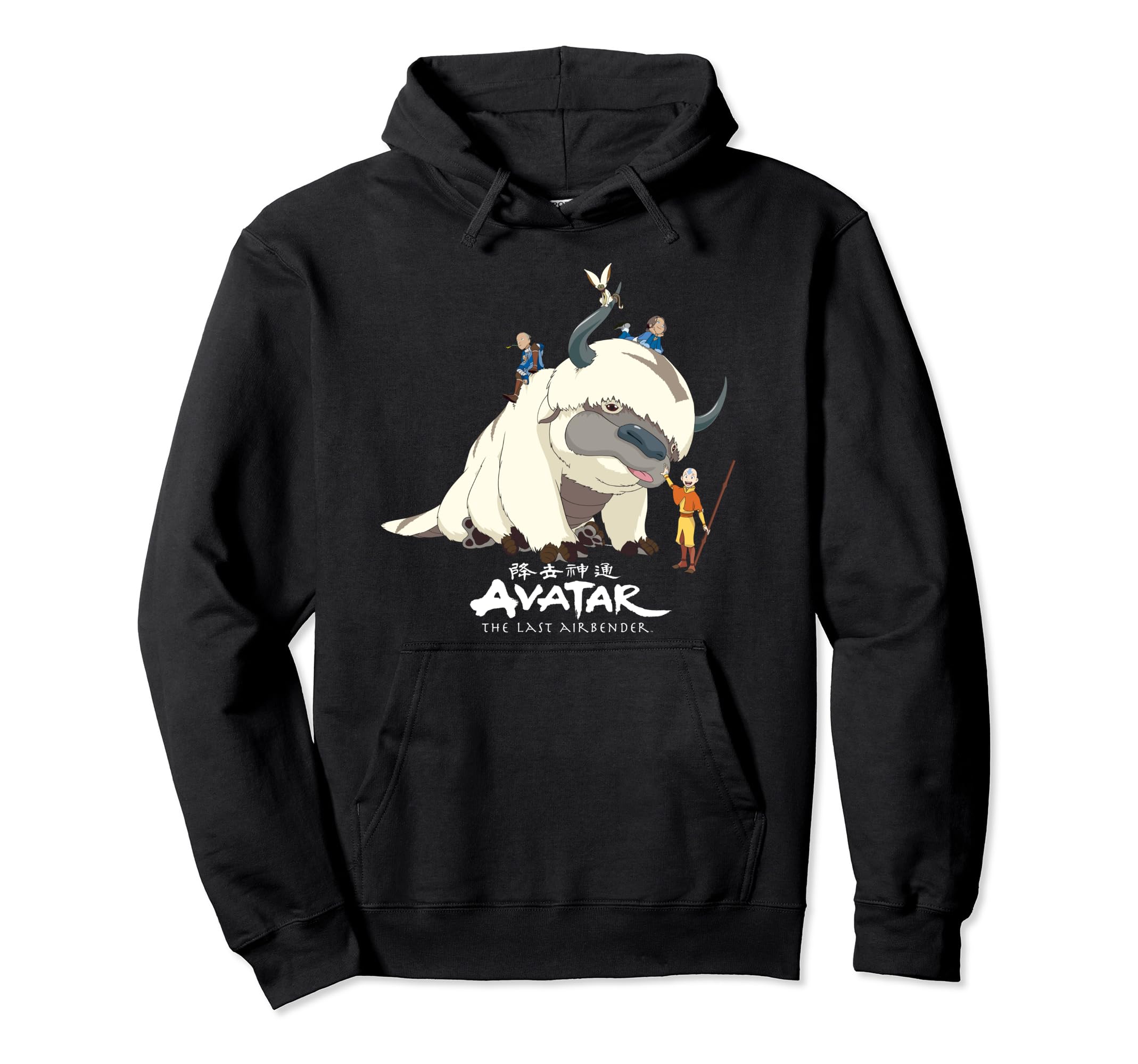 Snapklik.com : Appa Group Shot Logo Pullover Hoodie