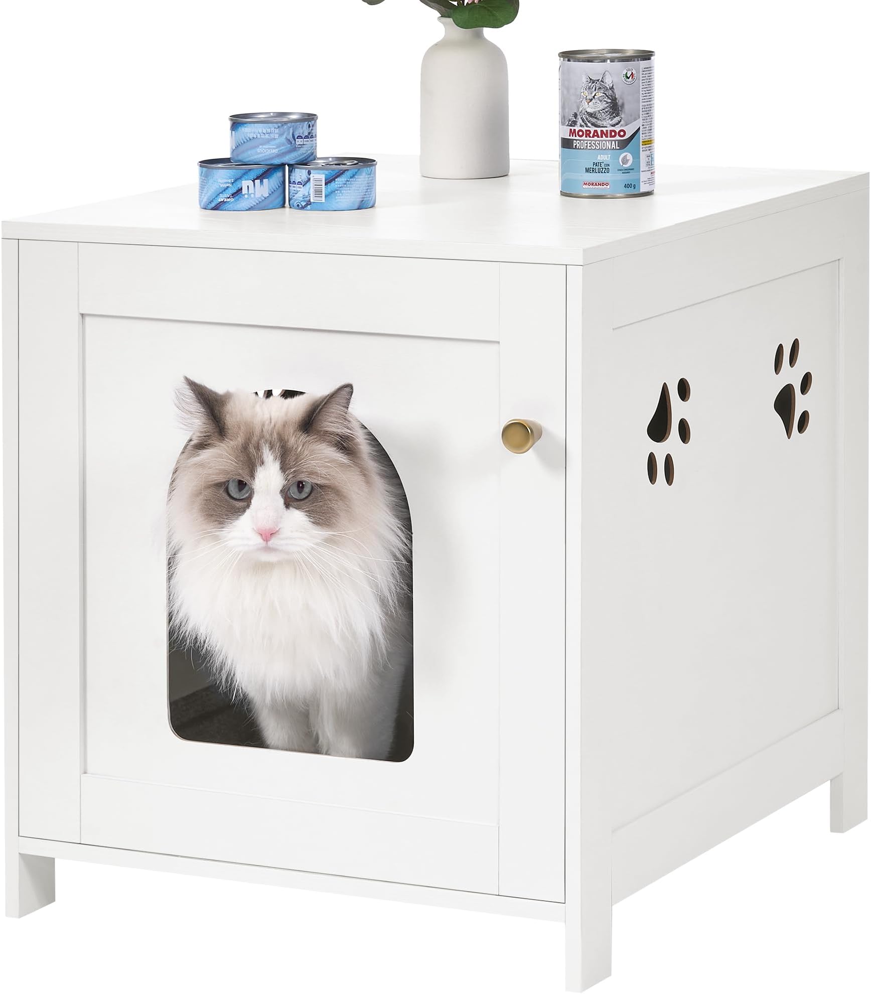 Amazon.com: Hzuaneri Cat Litter Box Enclosure, 21.6" L Hidden Litter ...