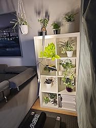 HIGROW Grow Lights for Indoor Plants, 315 LED Full Spectrum Plant ...