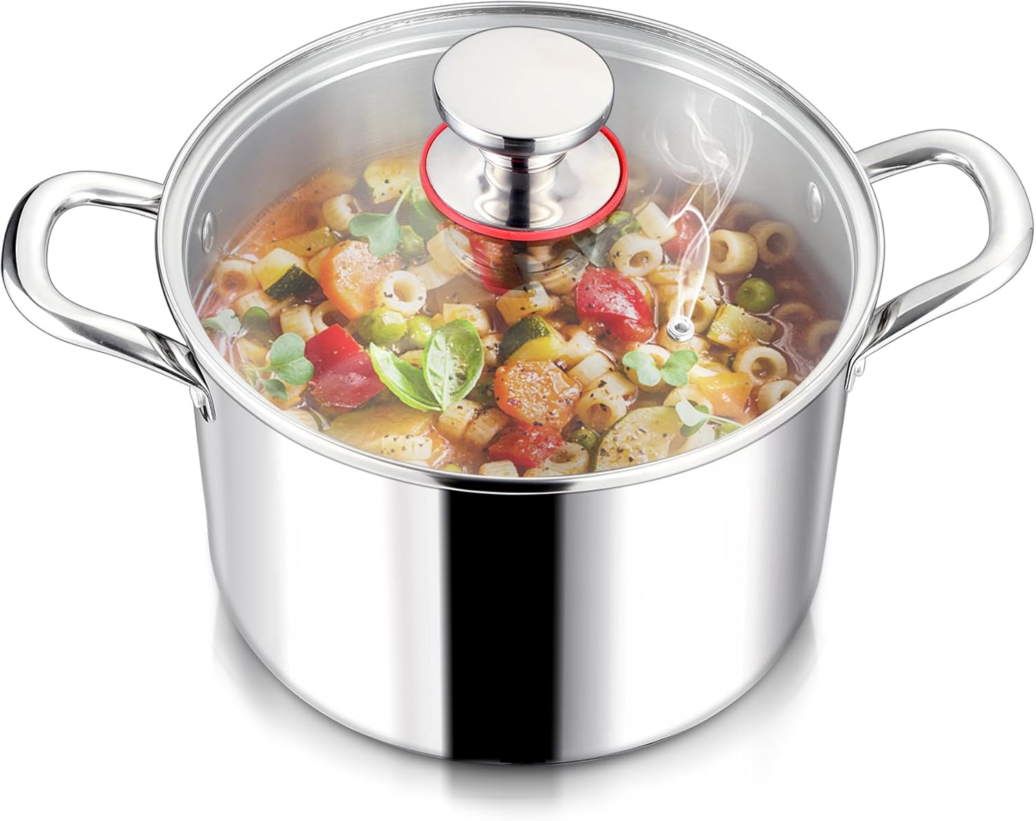 Amazon.com: LIANYU 6QT 18/10 Stainless Steel Stockpot with Lid, Tri-Ply ...