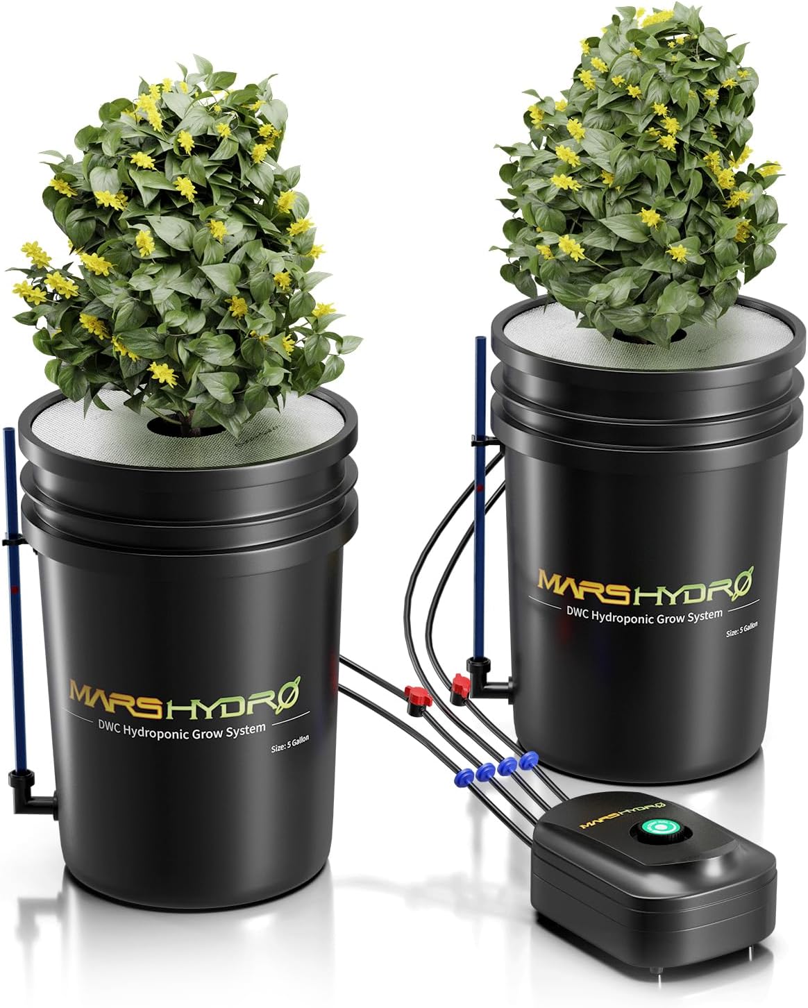 Amazon.com : Shikiy Hydroponics System 2.91 Gallon Deep Water Culture ...
