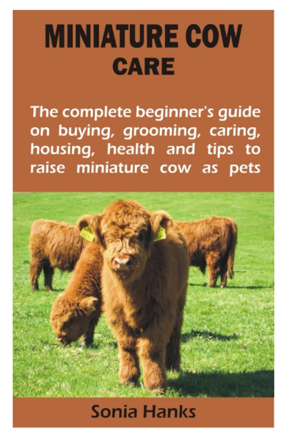 MINIATURE COW CARE: The complete beginner’s guide on buying, grooming ...