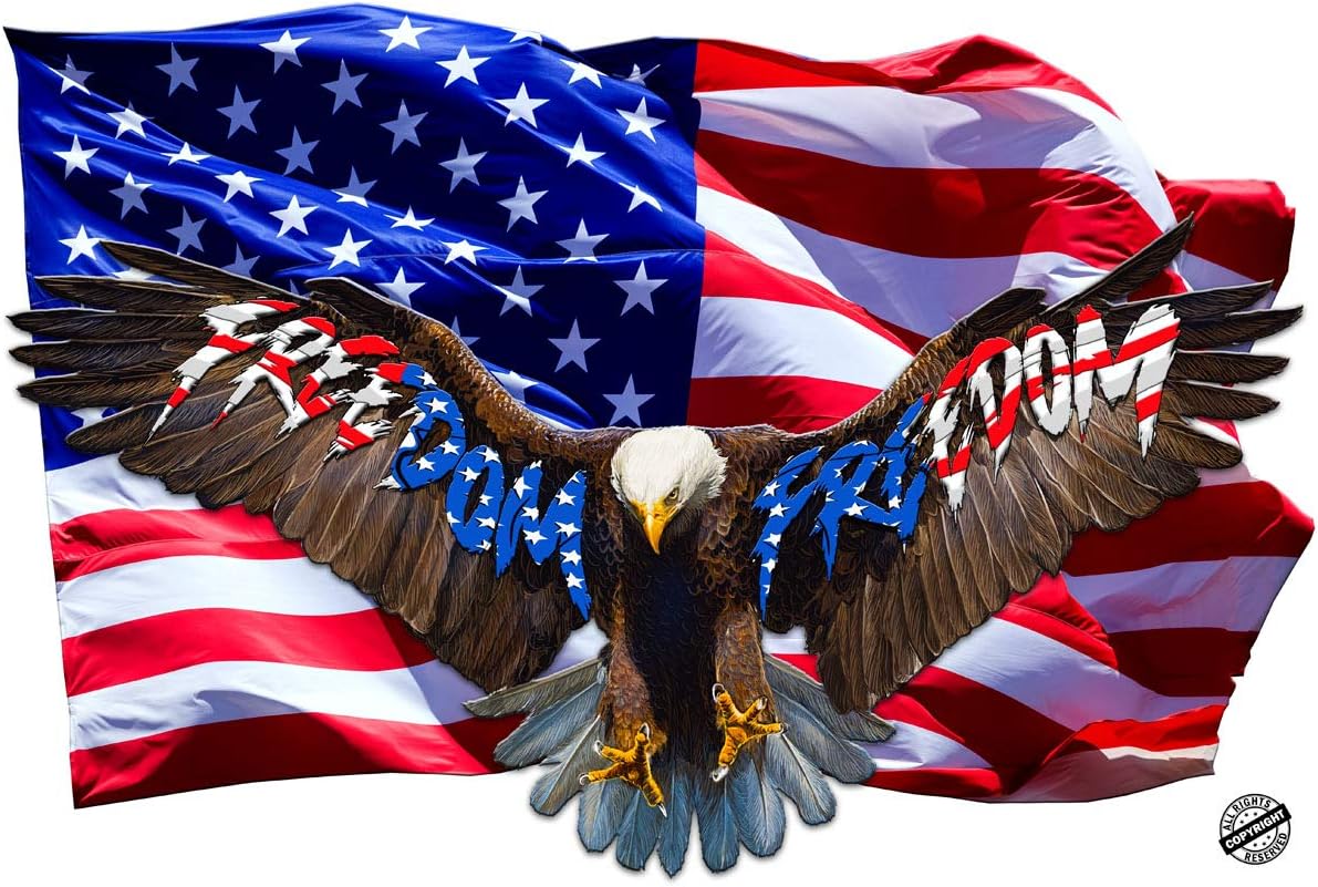 Amazon.com: Screaming American Flag Bald Eagle Wings Large 18" Decal : Automotive