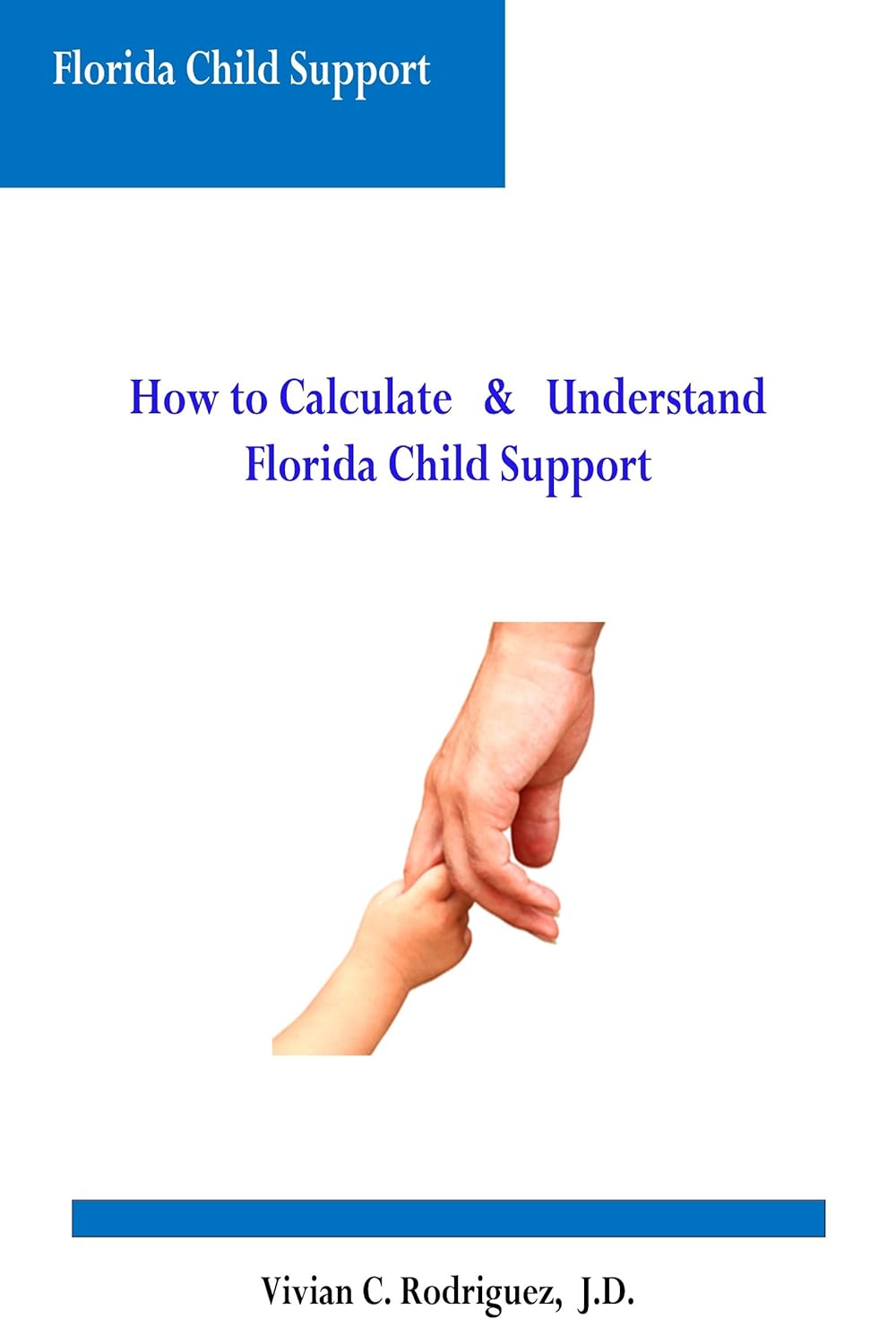 How to Calculate and Understand Florida Child Support eBook : Rodriguez ...